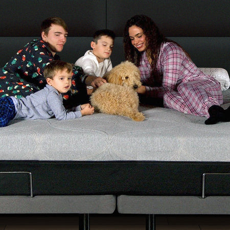 The Family Bed - Big Enough for the Whole Household (Pets Included ...